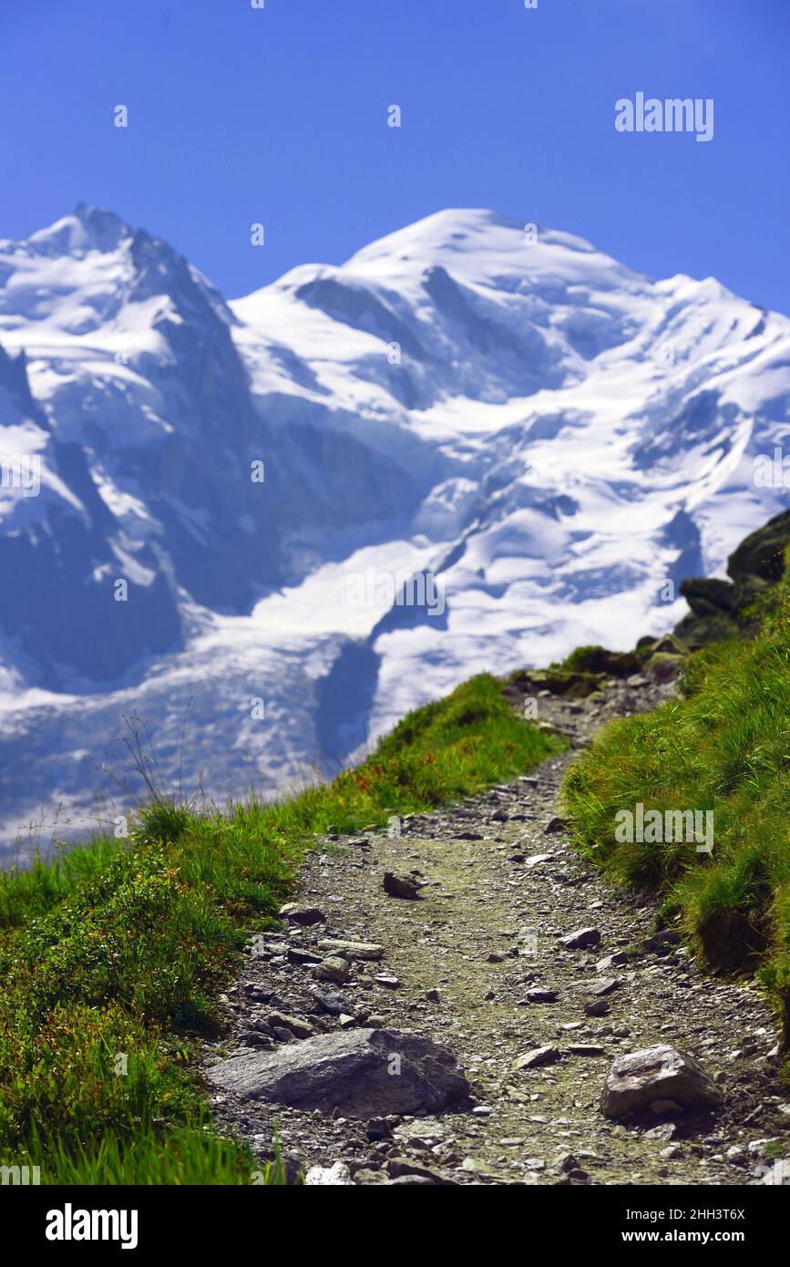 France, Haute Savoie ( 74 ), Chamonix, footpath in front of the mont ...