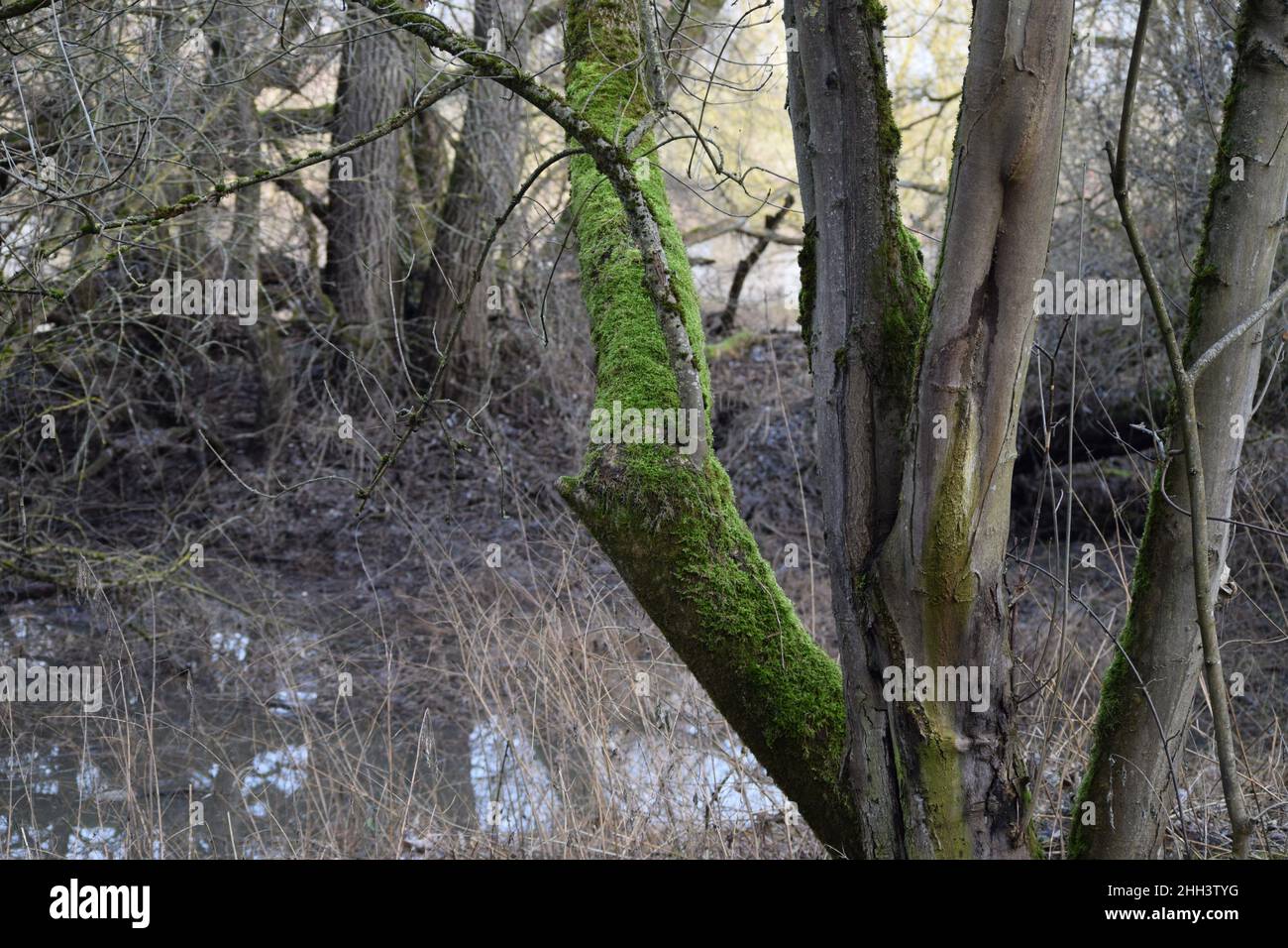 Moist areas hi-res stock photography and images - Alamy