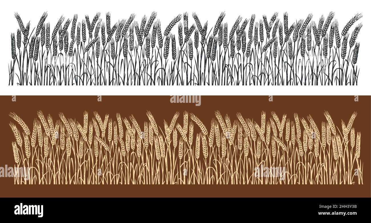 Ears of wheat horizontal seamless pattern. Sketch vector illustration Stock Vector Image & Art ...