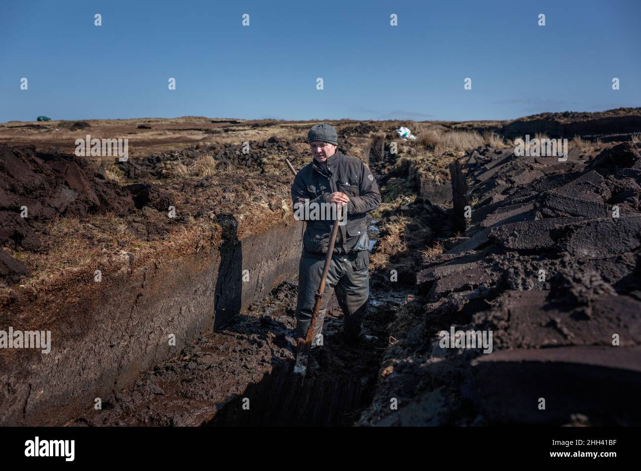 An Irish turf cutter, cutting sods of turf with a sleán, the ...