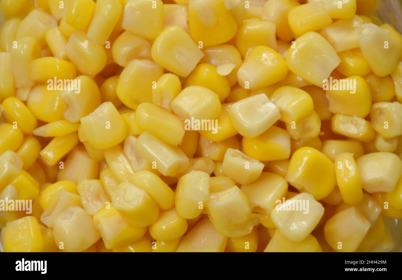 steamed sweet corn seed in salt water texture and background Stock ...