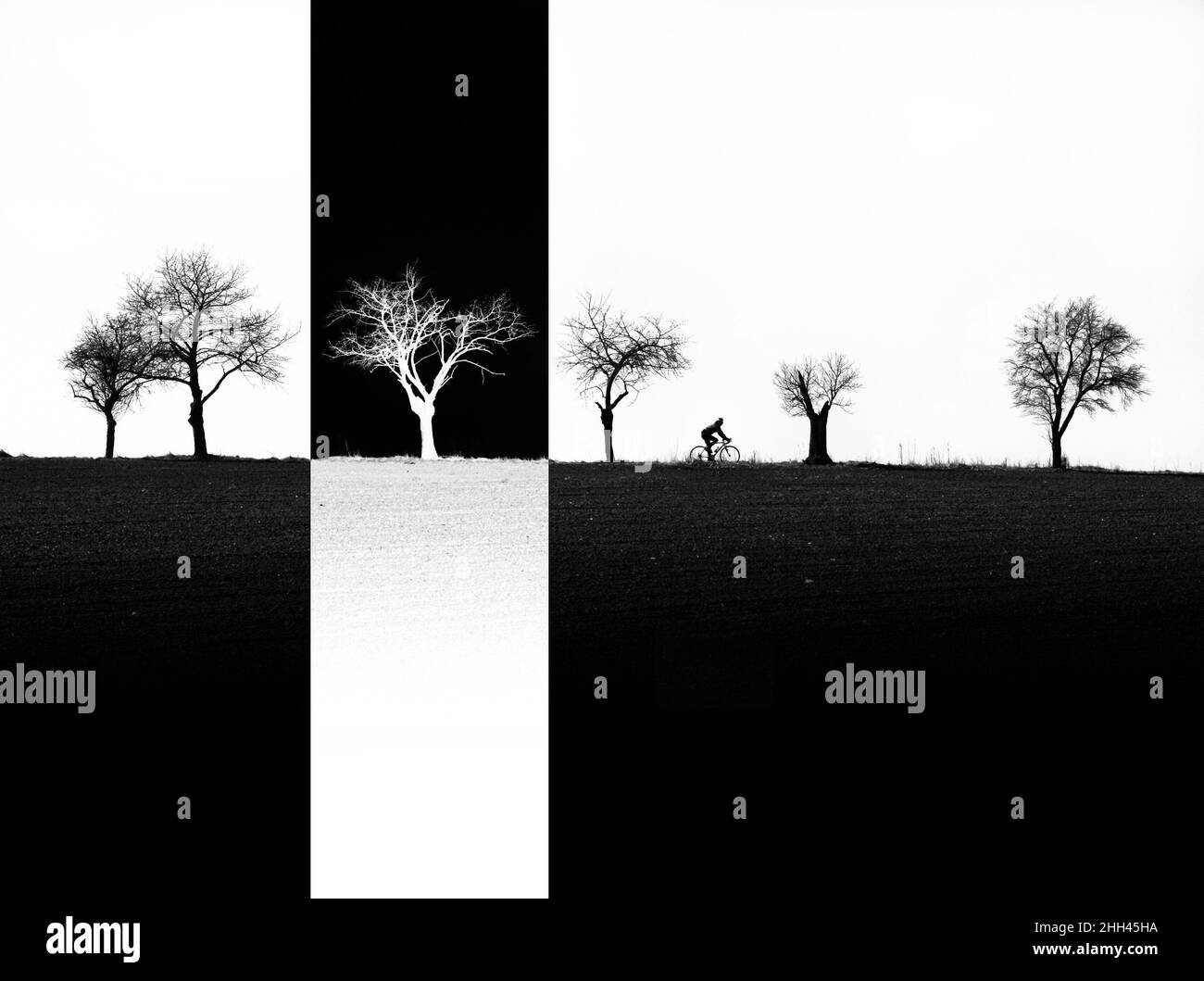 Inverted reality - cyclist and tree line without leaves on the field ...