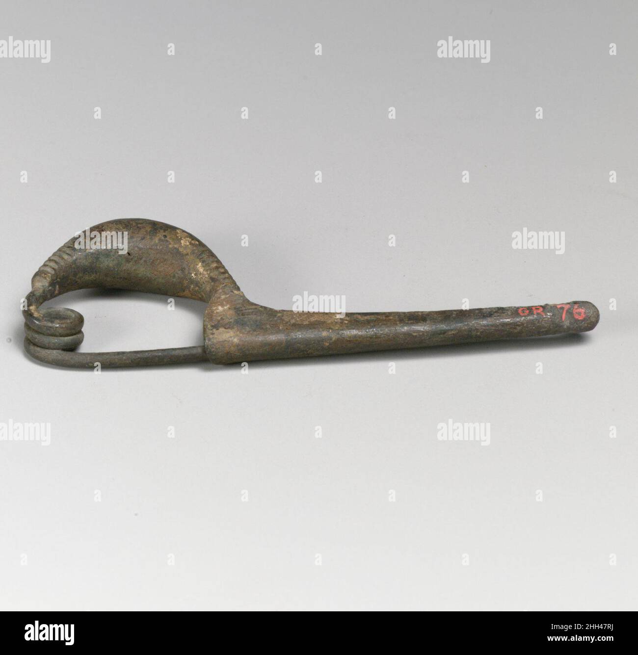 Fibula ends hi-res stock photography and images - Alamy