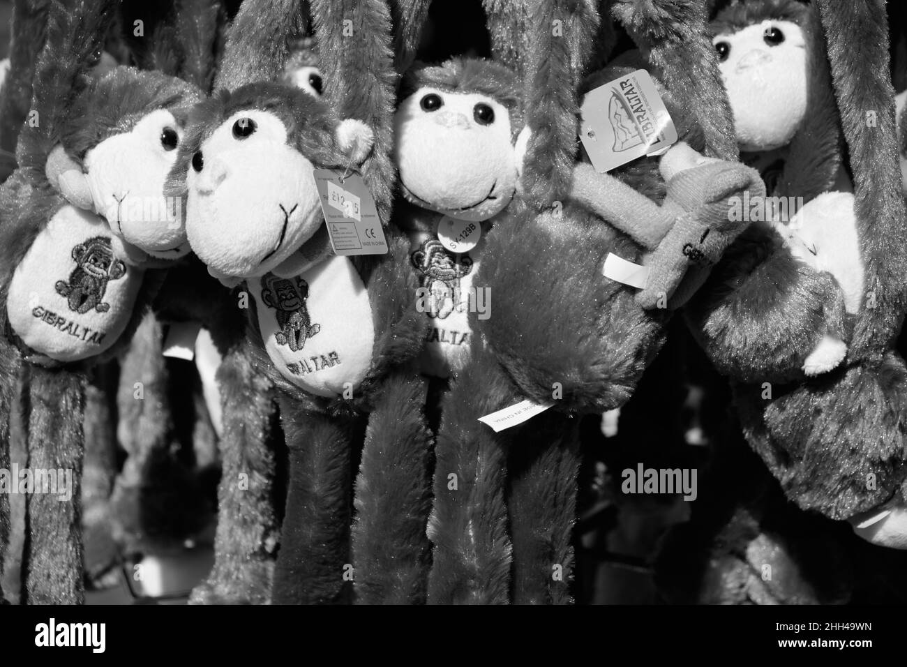 Gibraltar souvenir monkey dolls Stock Photo - Alamy