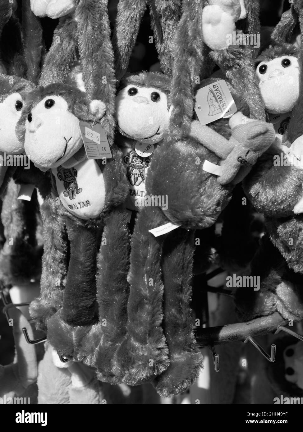 Monkeys of the world Black and White Stock Photos & Images - Alamy