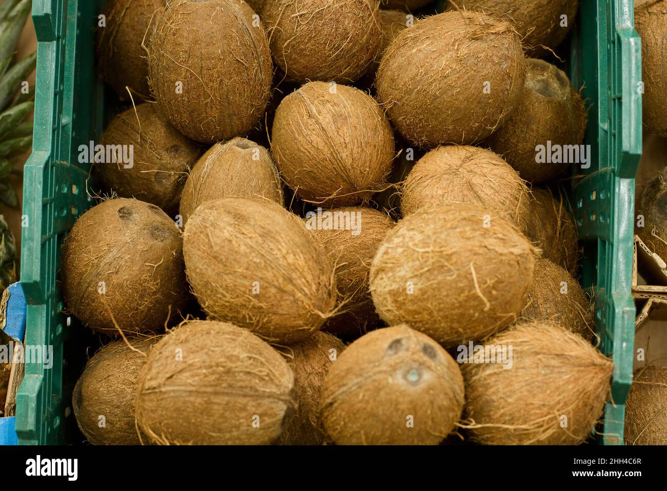 A lot coconuts in the supermarket. Many coco lying in a boxes. Top view ...