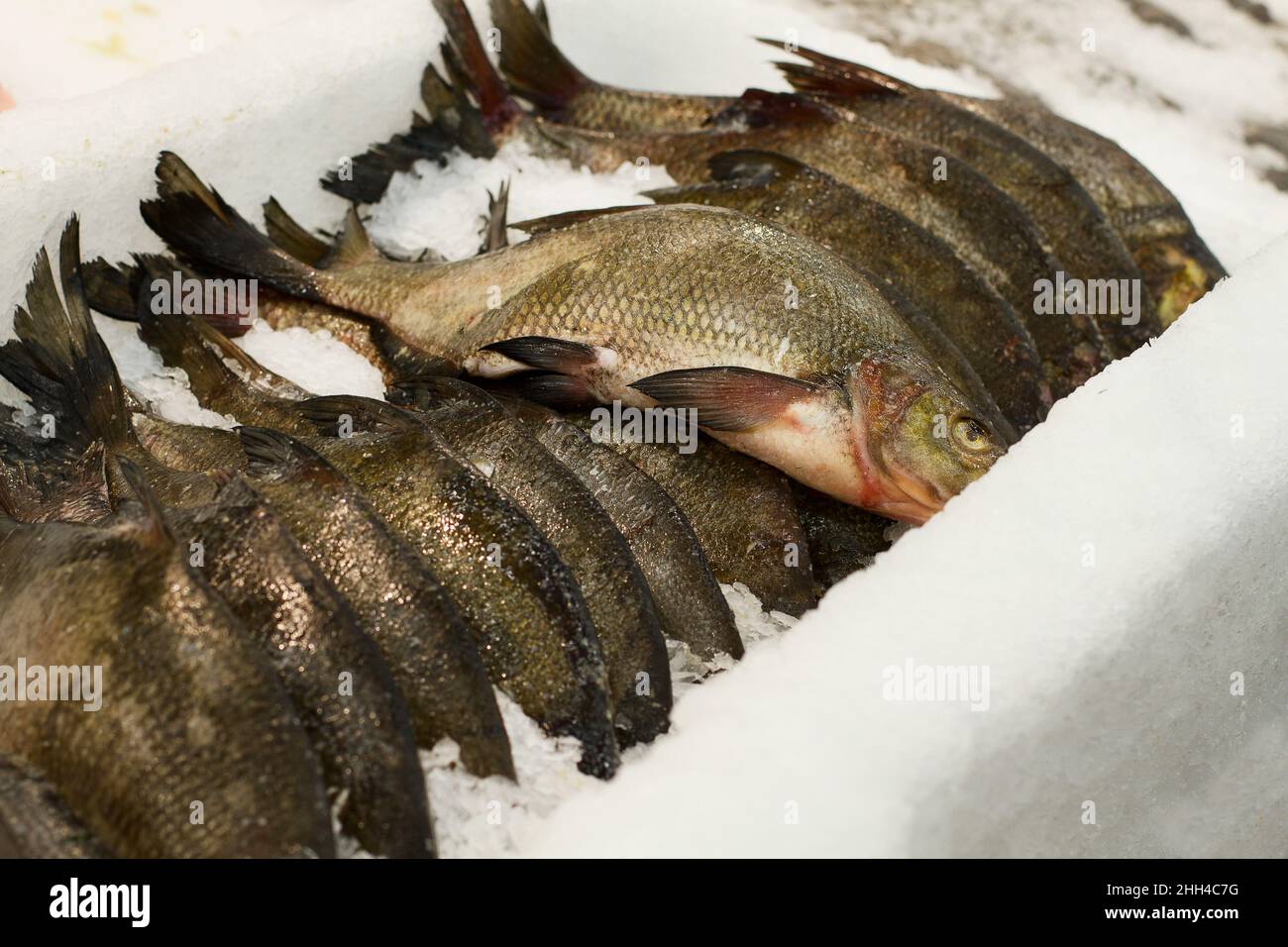 Fish in supermarket. Piece of fish in ice at restaurant kitchen ...