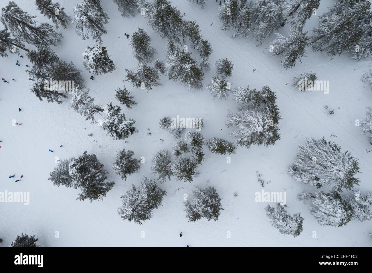 Drone aerial scenery of mountain snowy forest and people playing in ...