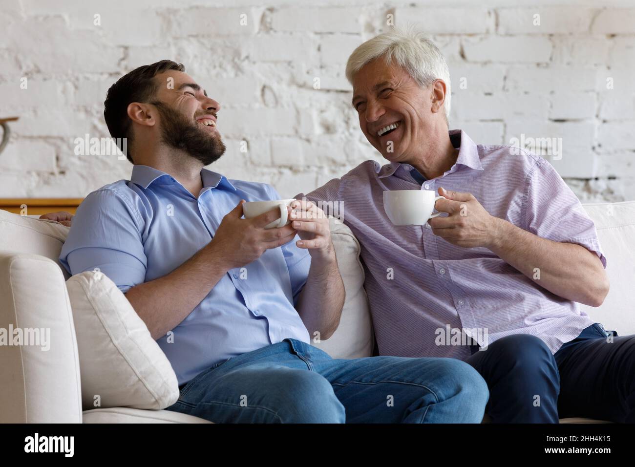 Happy adult son meeting with mature retired grey haired father Stock ...