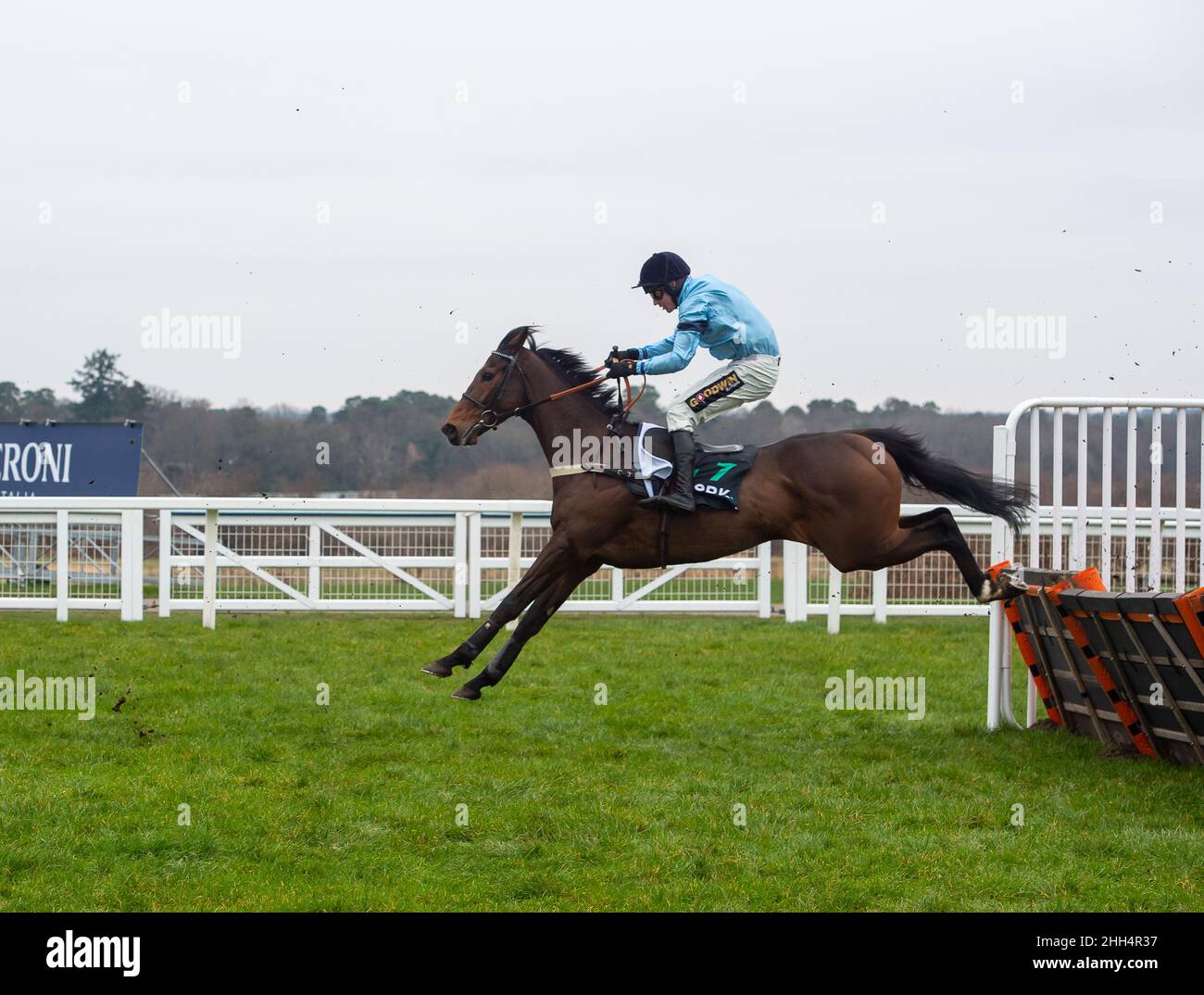 Highclere racing hi-res stock photography and images - Alamy