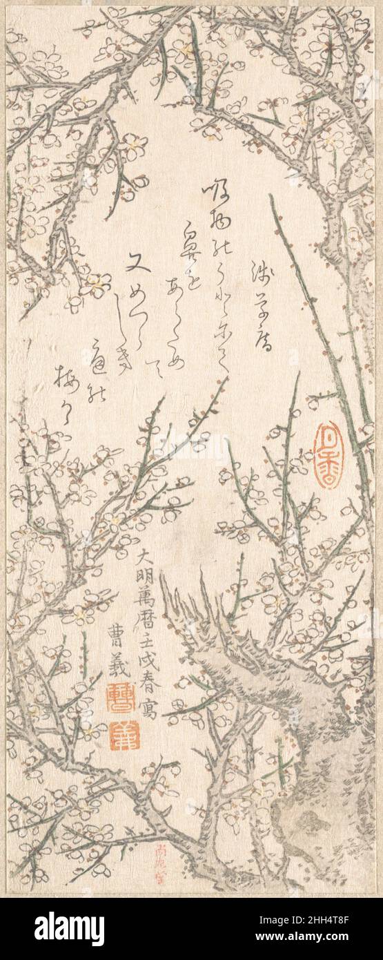 Plum Tree in Blossom 1813 Kitao Shigemasa Japanese. Plum Tree in ...