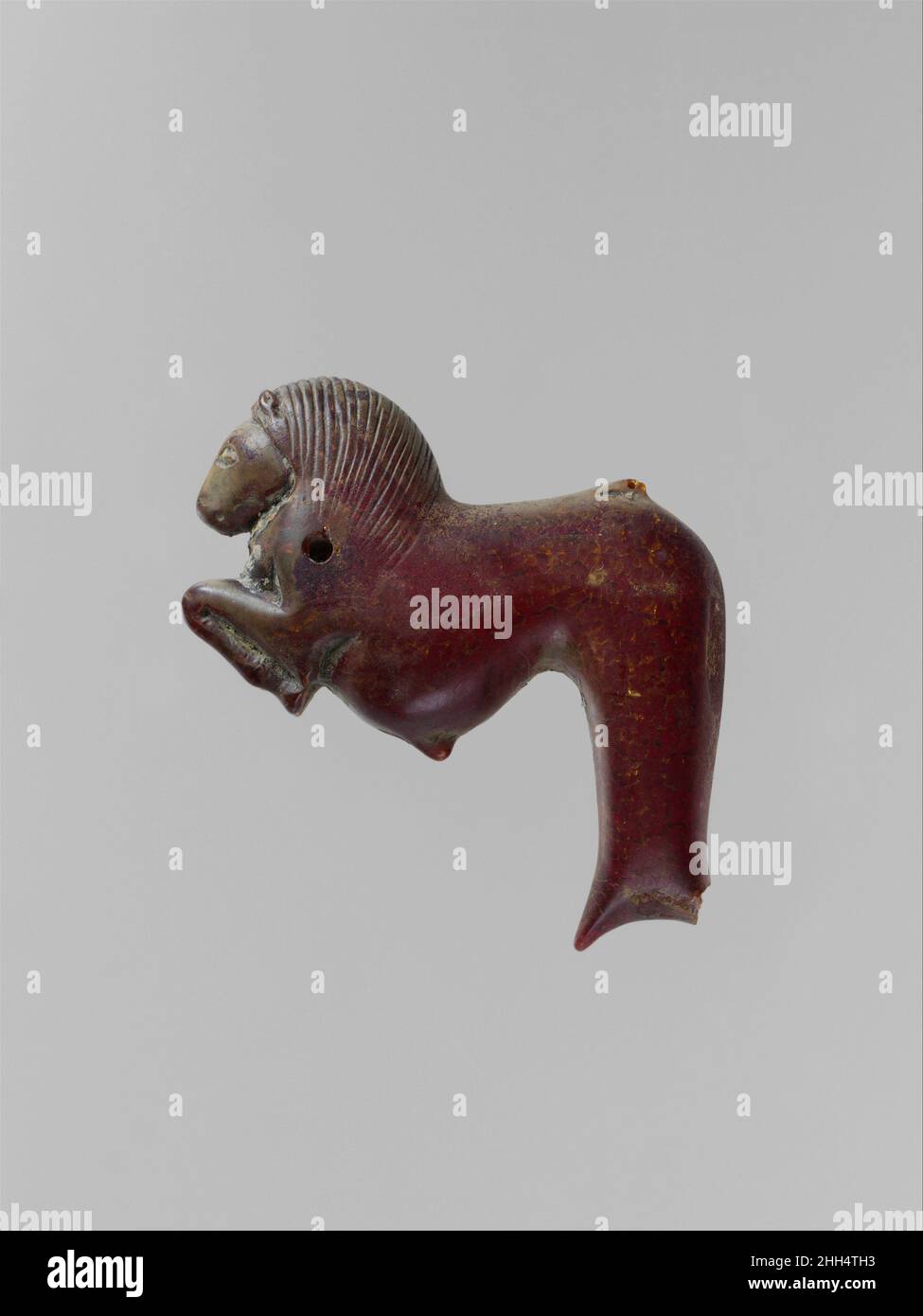 Swimming hippocamp hi-res stock photography and images - Alamy