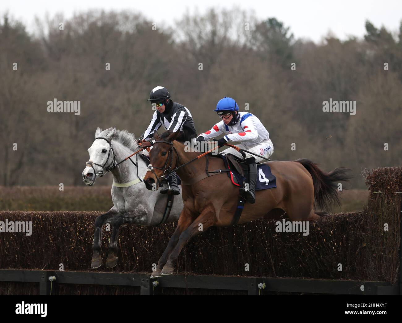 War lord racecourse hi-res stock photography and images - Alamy
