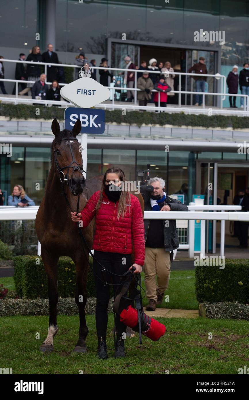 Mr skelton hi-res stock photography and images - Alamy