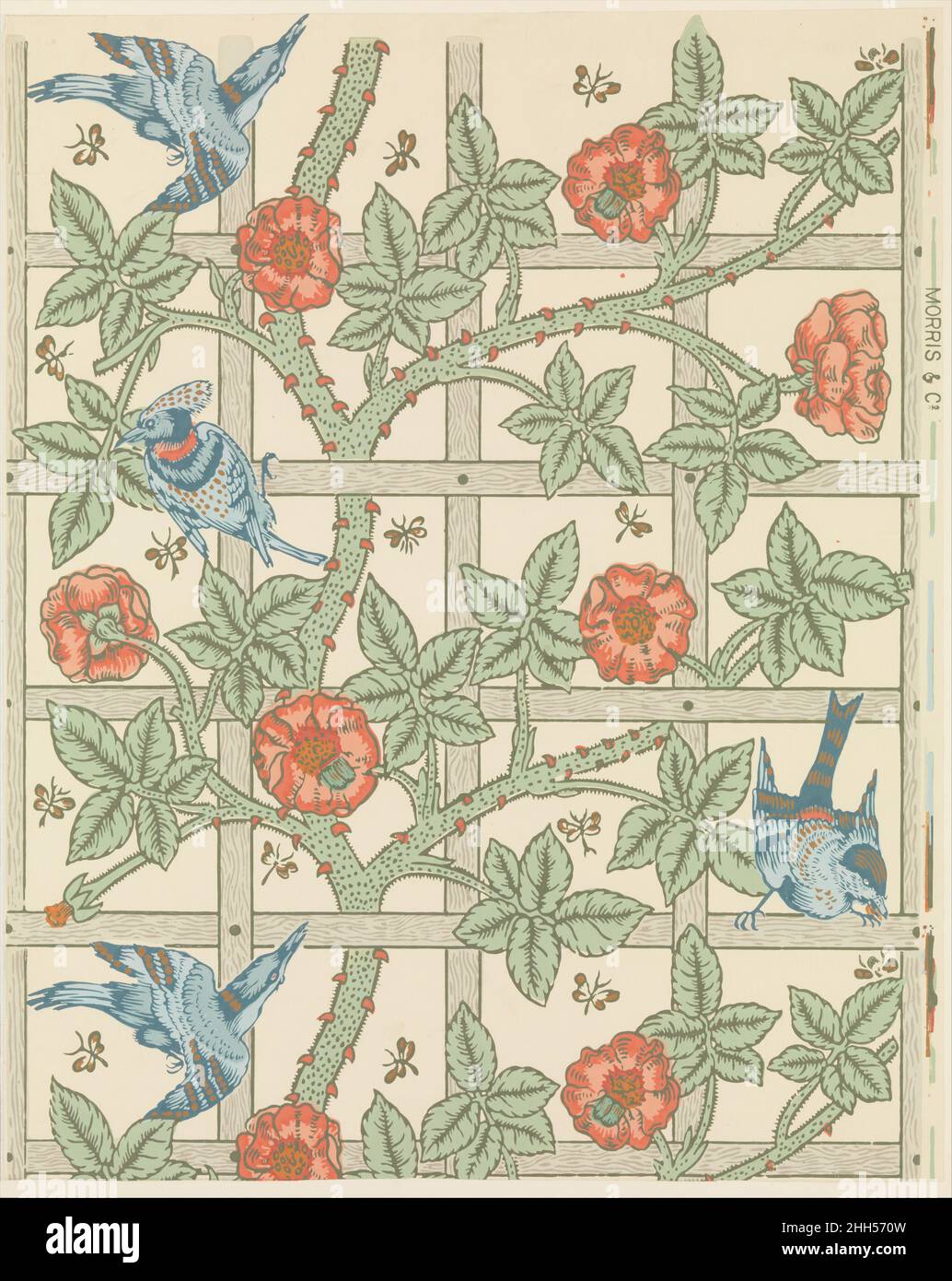 Colors William Morris