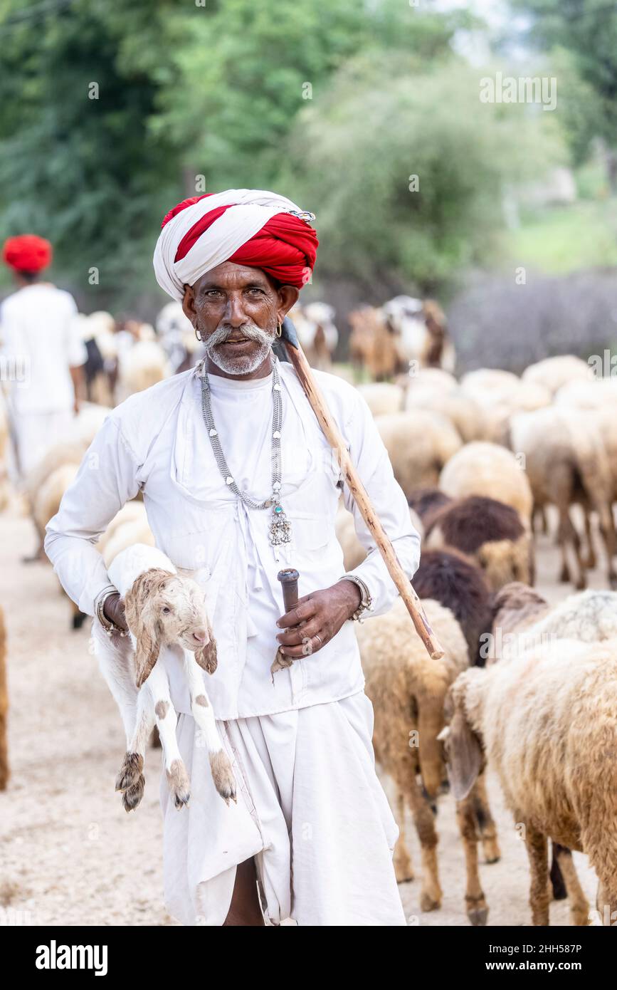 Indian shepherd in traditional dress hi-res stock photography and ...