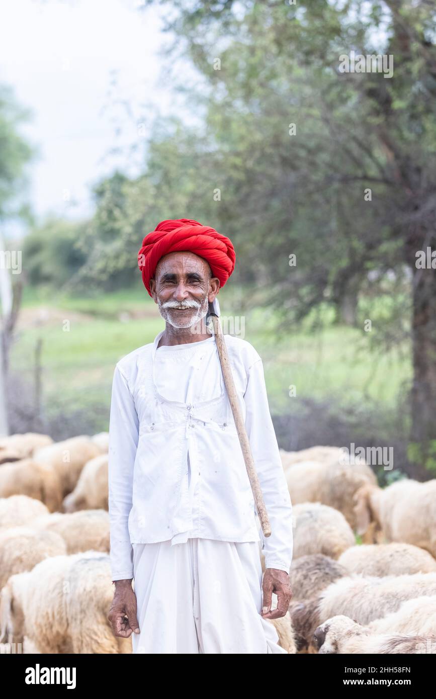Indian shepherd in traditional dress hi-res stock photography and ...
