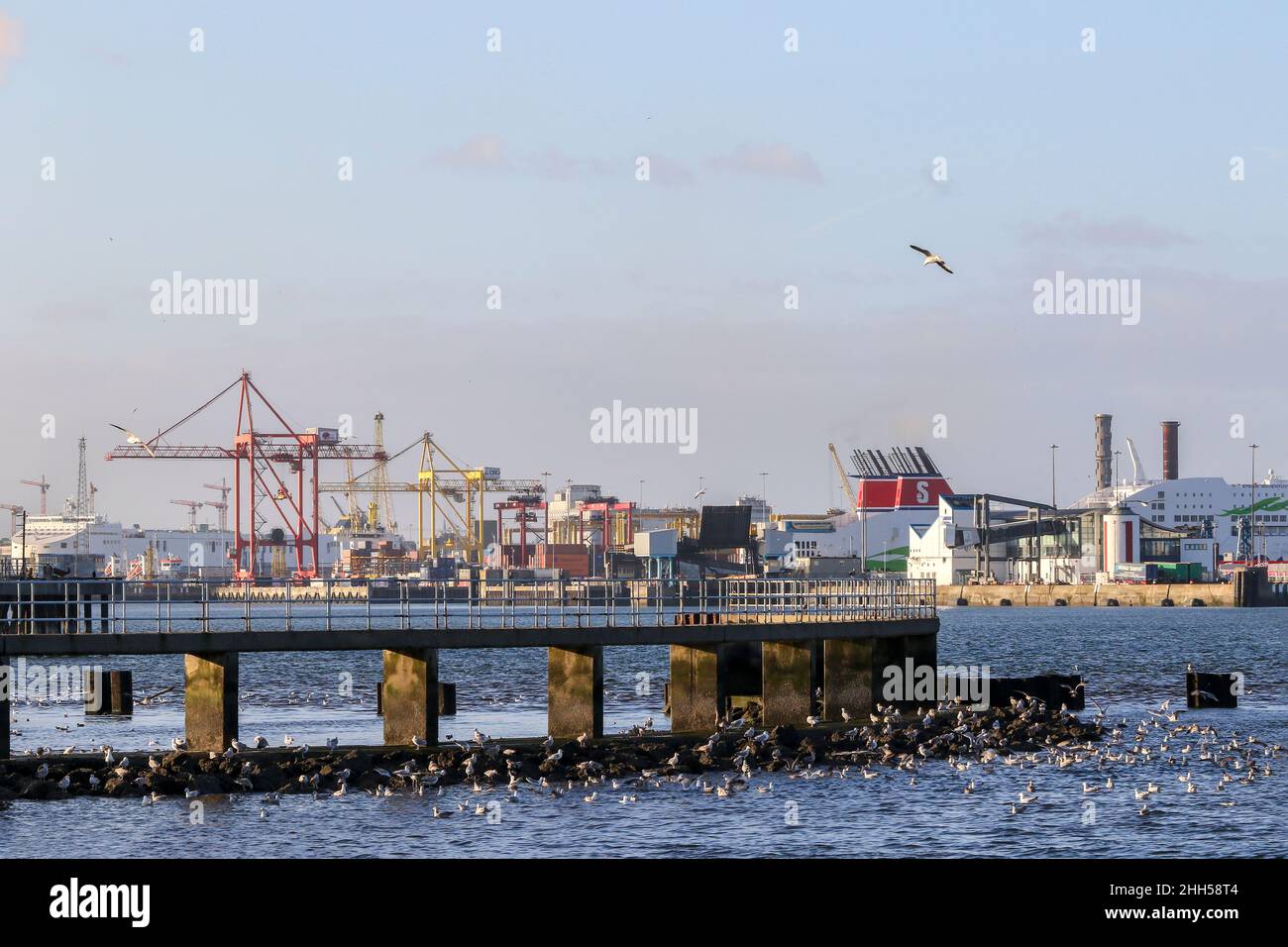 Industrial cranes, ships and freight containers in Dublin Port shipping ...