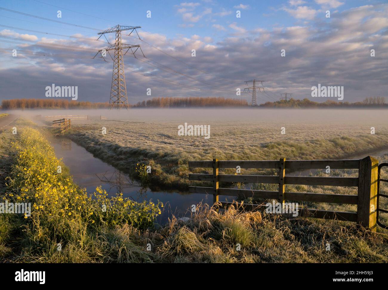 Morning fog above a meadow with electricity pylons Stock Photo - Alamy