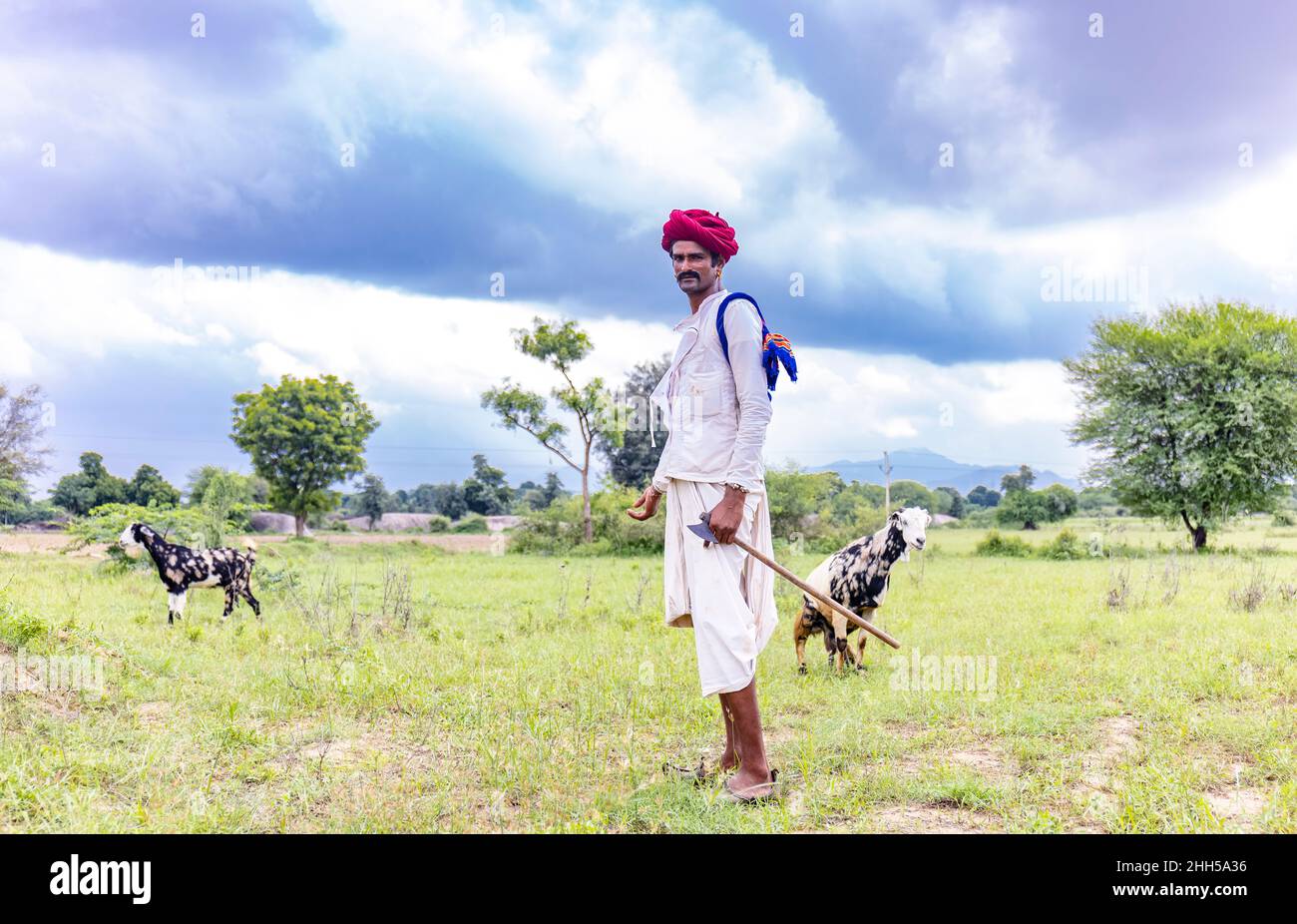 Indian shepherd in traditional dress hi-res stock photography and ...