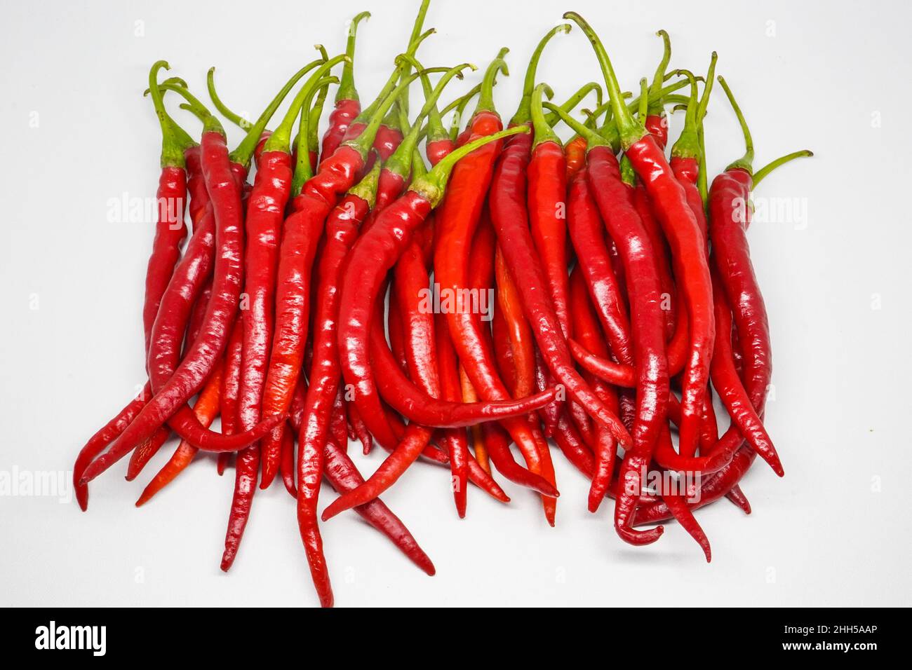 Red Chili Curly is one of the most widely grown and sold red chili ...
