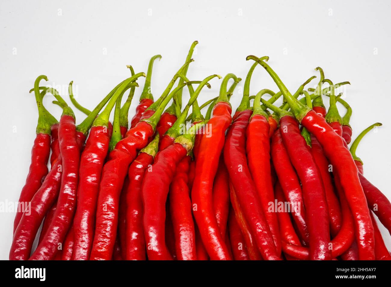 Red Chili Curly is one of the most widely grown and sold red chili ...