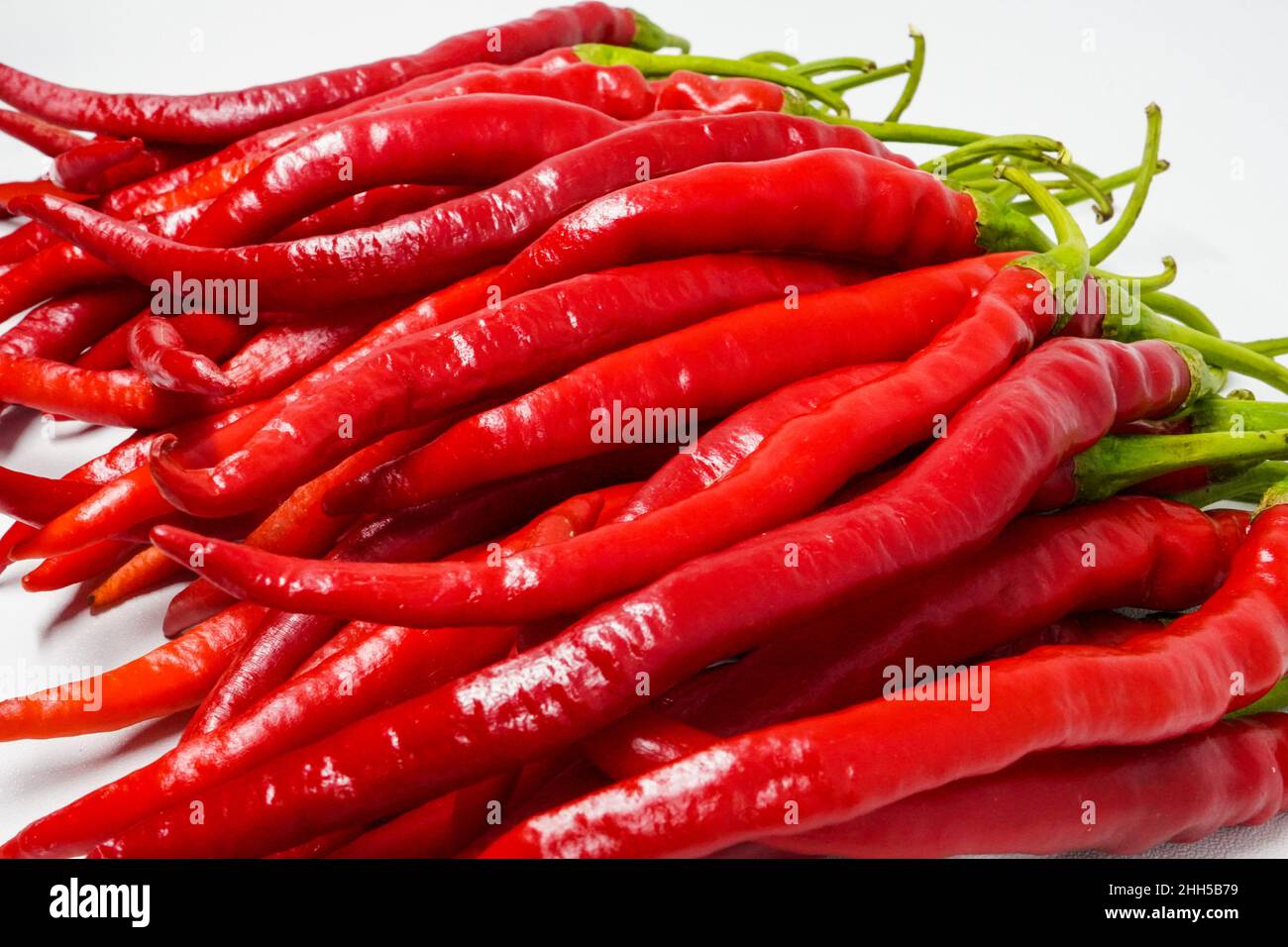 Red Chili Curly is one of the most widely grown and sold red chili ...