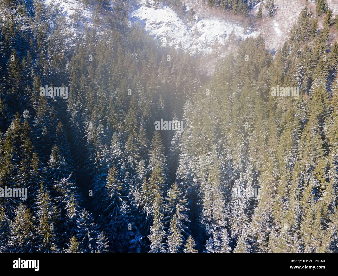 Aerial winter view of Rila Mountain near Beli Iskar river, Sofia Region ...