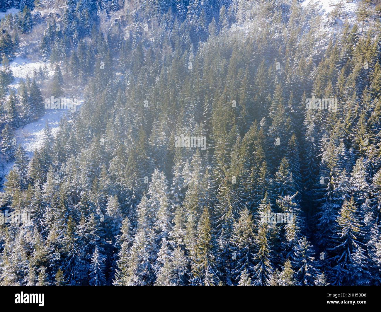 The beli iskar river hi-res stock photography and images - Alamy