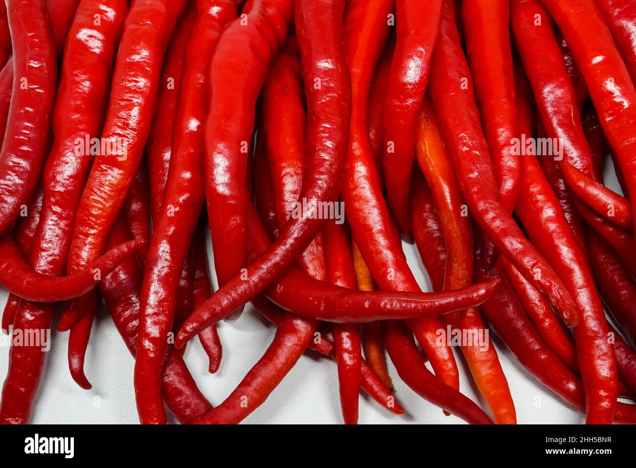 Red Chili Curly is one of the most widely grown and sold red chili ...