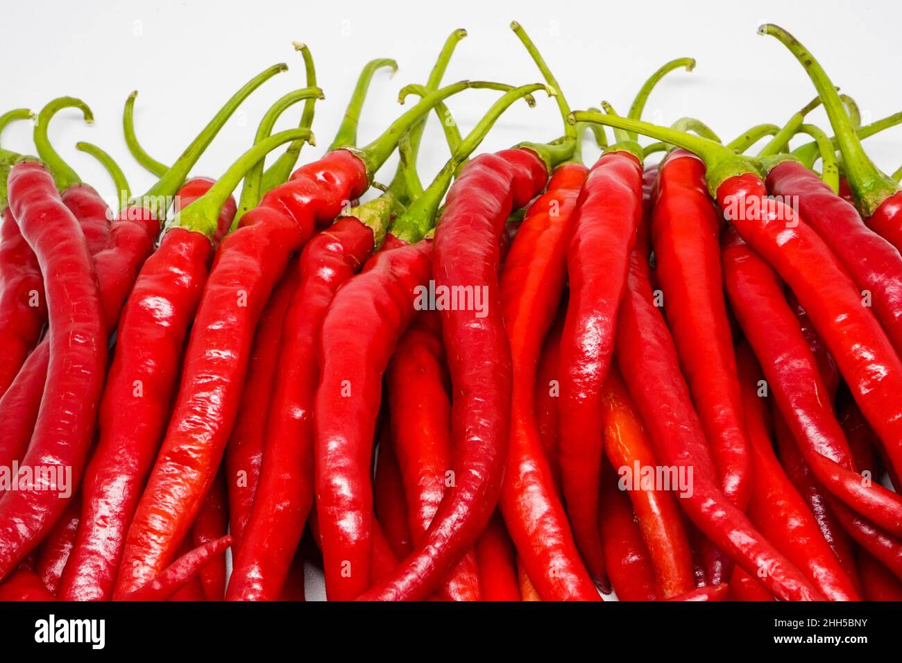 Red Chili Curly is one of the most widely grown and sold red chili ...