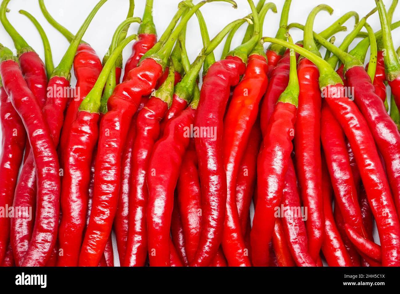 Red Chili Curly is one of the most widely grown and sold red chili ...