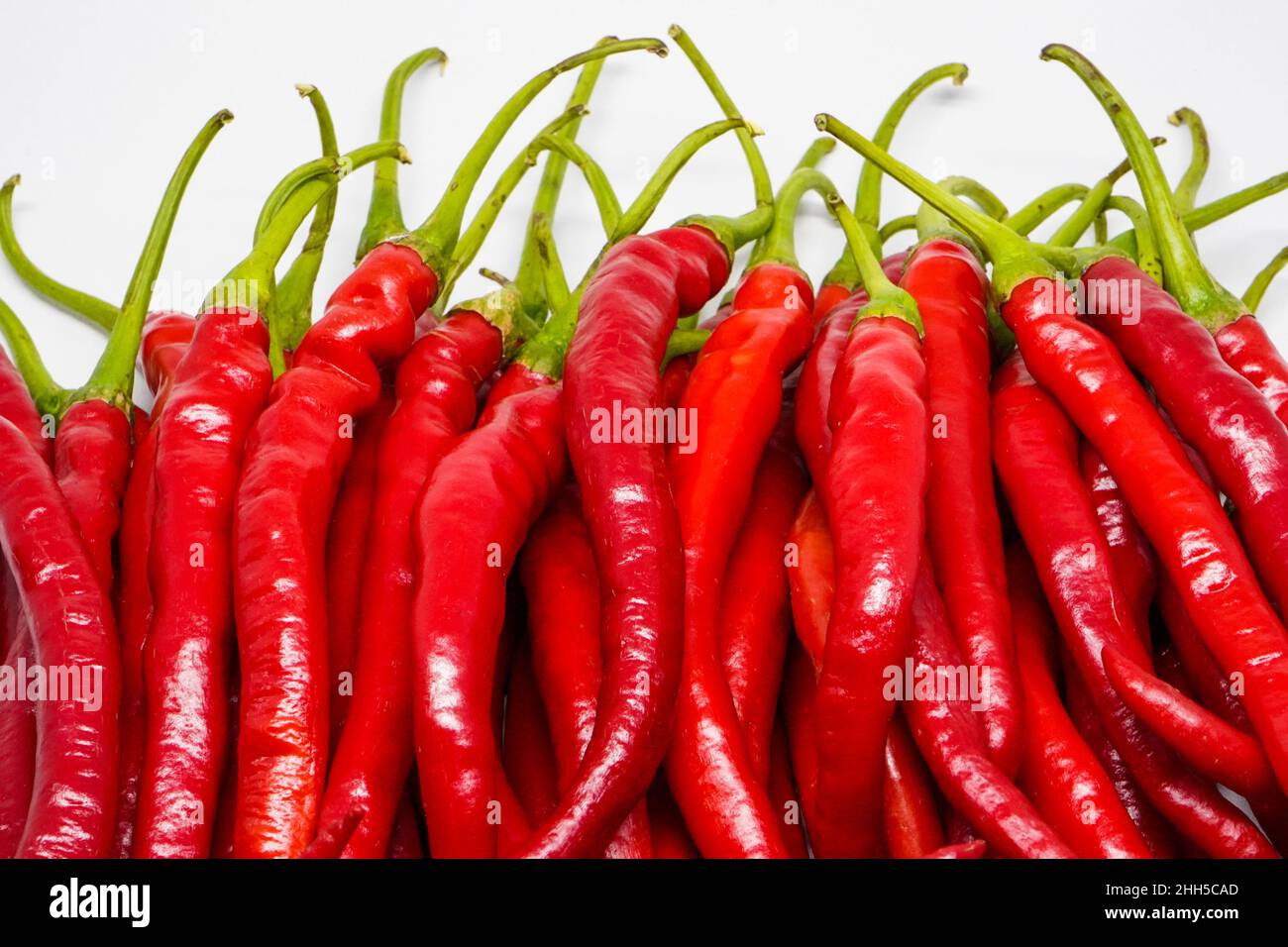 Red Chili Curly is one of the most widely grown and sold red chili ...