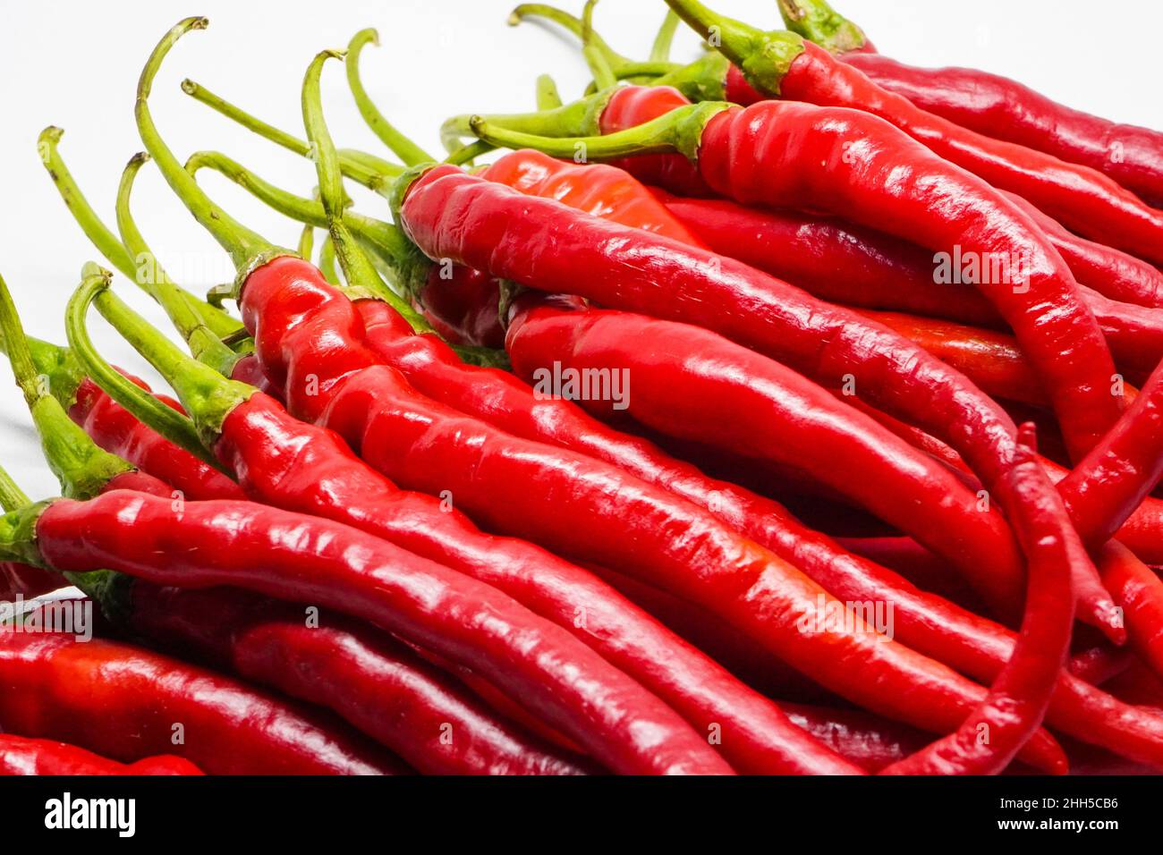 Red Chili Curly is one of the most widely grown and sold red chili ...