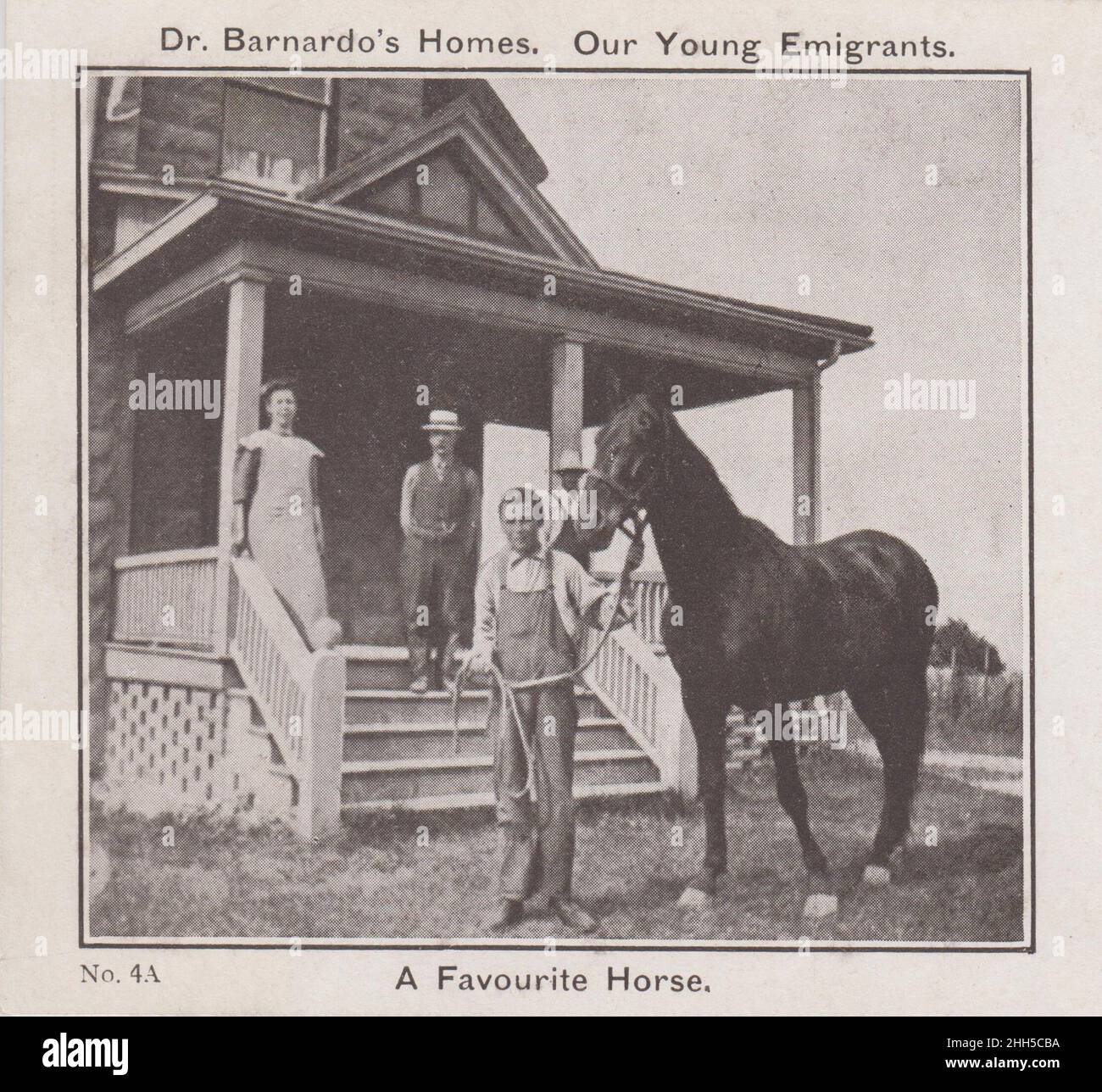 "Dr Barnardo's Homes. Our young emigrants. A favourite horse": child ...