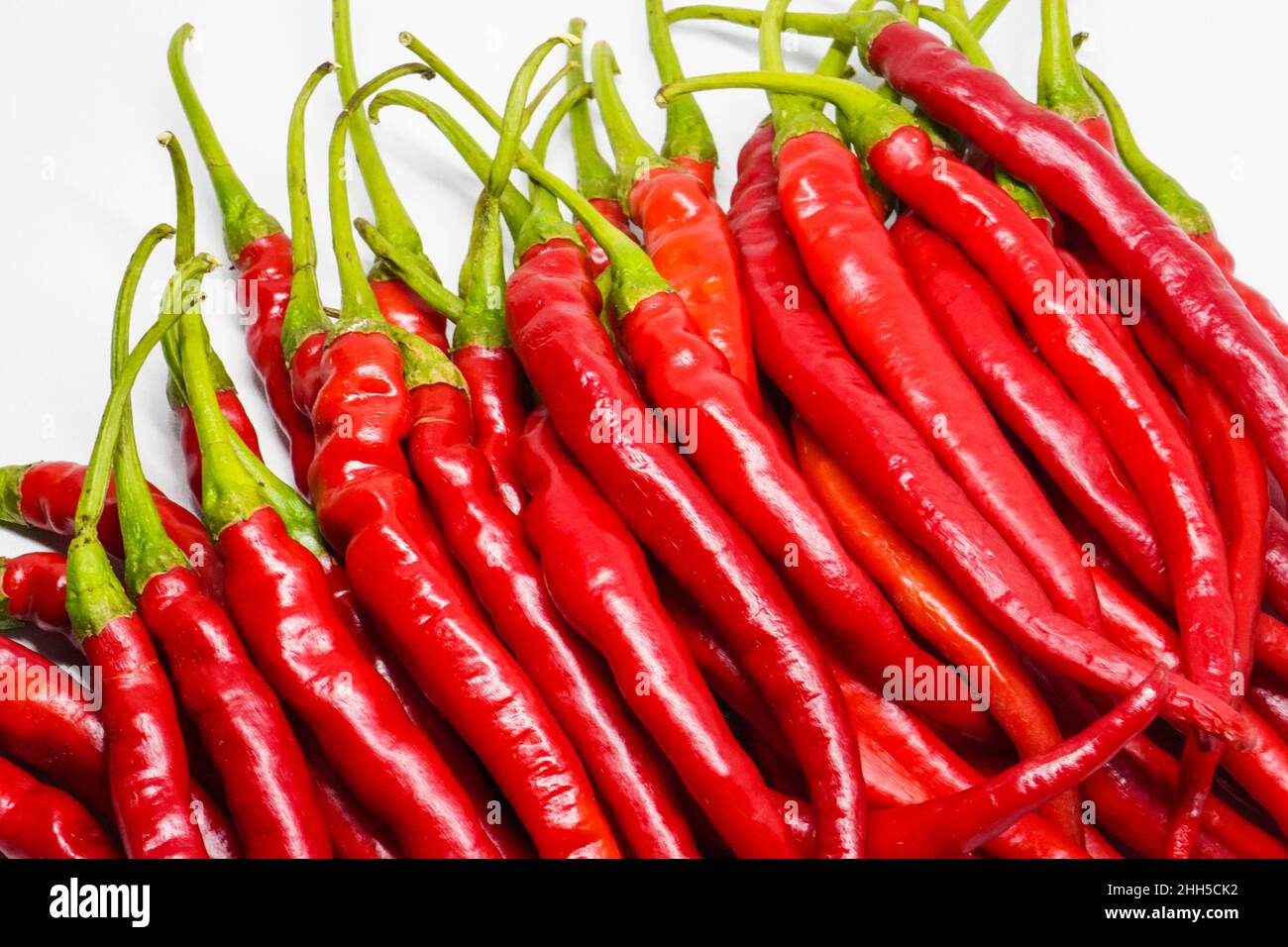 Red Chili Curly is one of the most widely grown and sold red chili ...