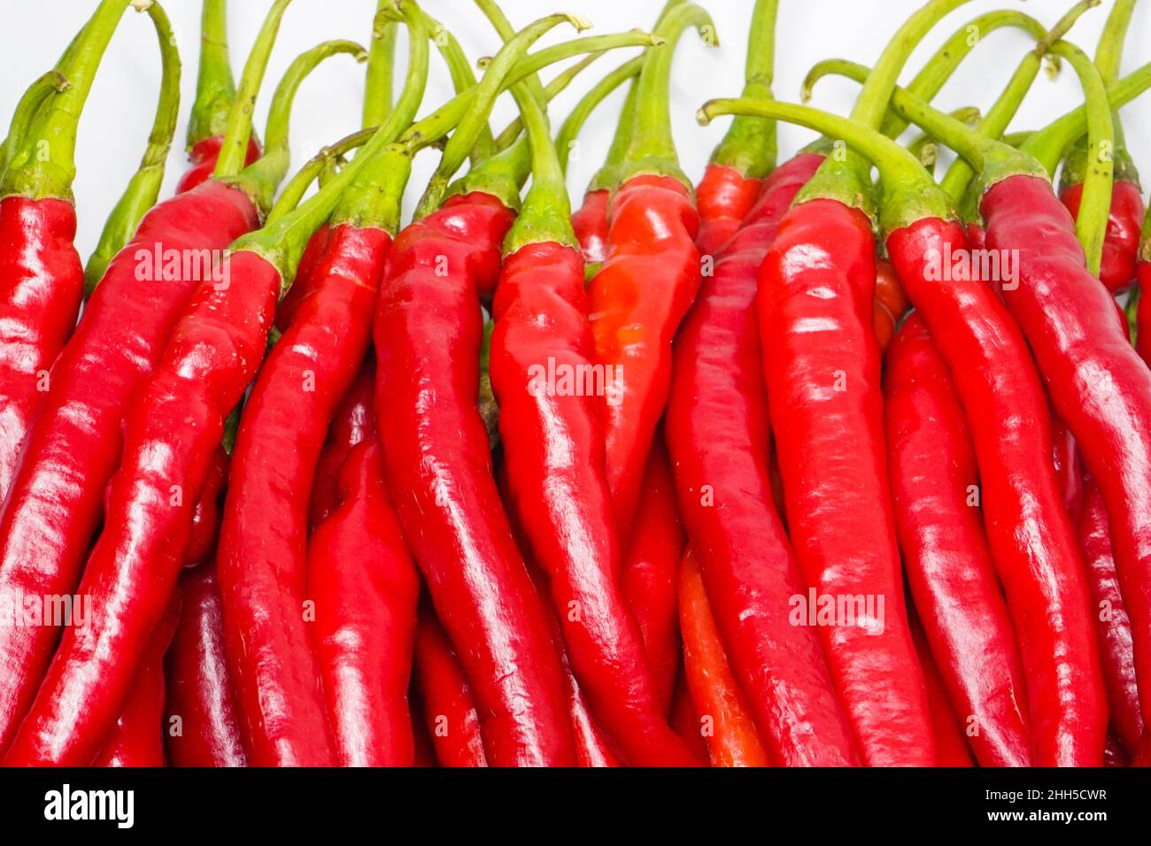 Red Chili Curly is one of the most widely grown and sold red chili ...