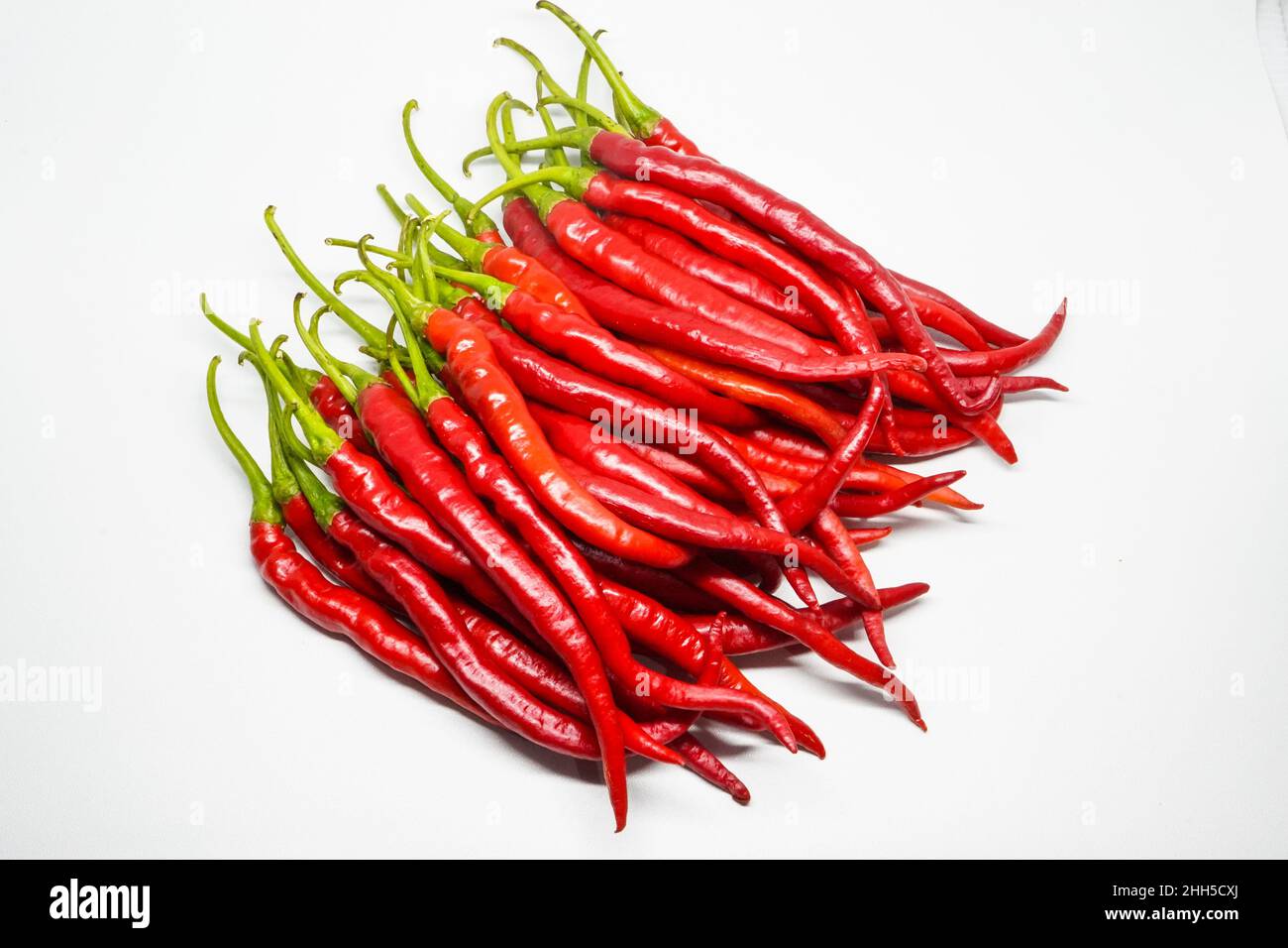 Red Chili Curly is one of the most widely grown and sold red chili ...