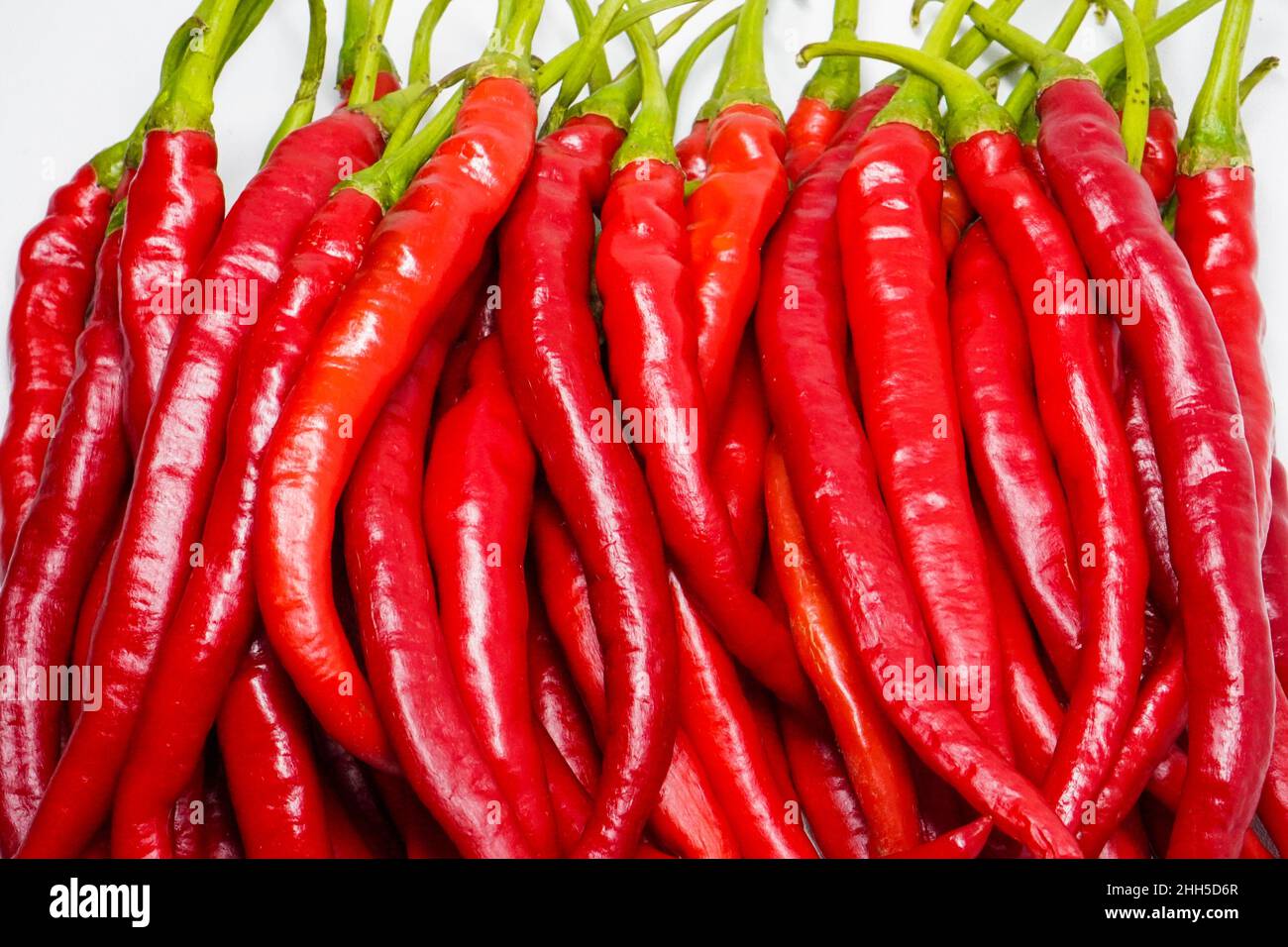Red Chili Curly is one of the most widely grown and sold red chili ...