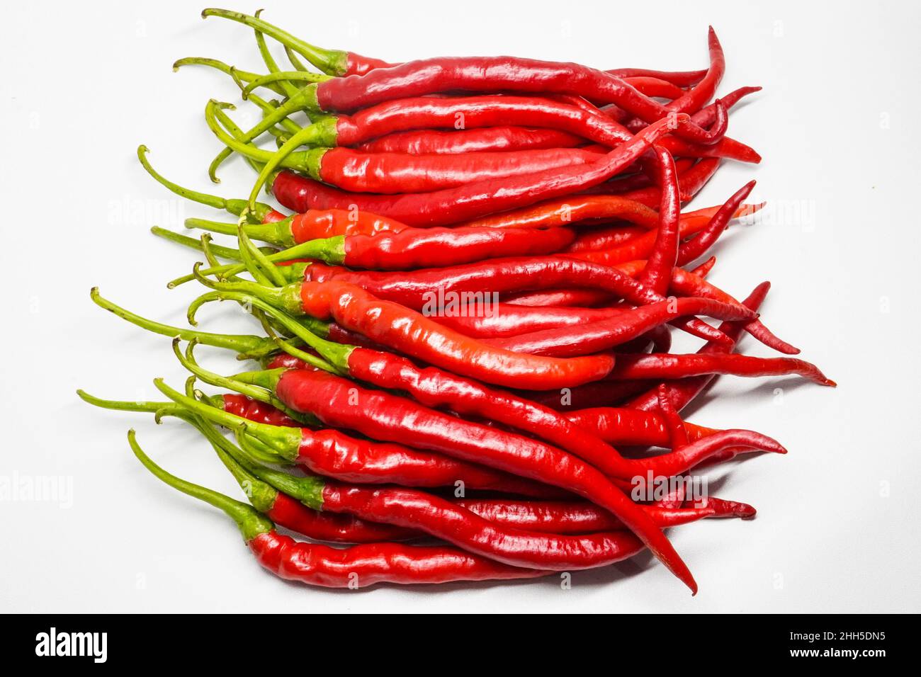 Red Chili Curly is one of the most widely grown and sold red chili ...