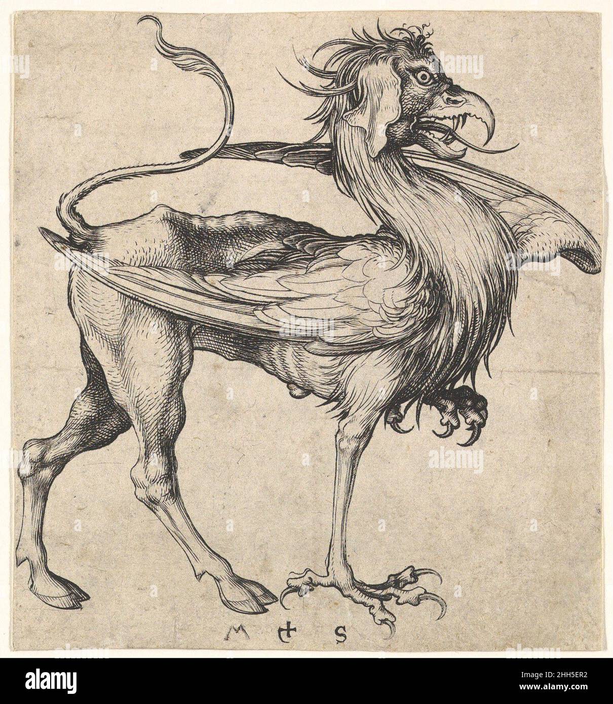 Griffin ca. 1435–1491 Martin Schongauer German A combination of an ...