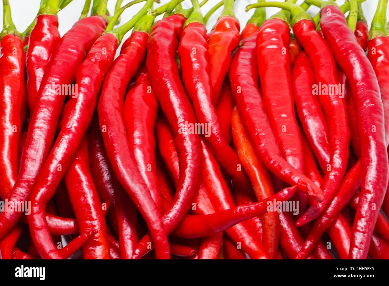Red Chili Curly is one of the most widely grown and sold red chili ...