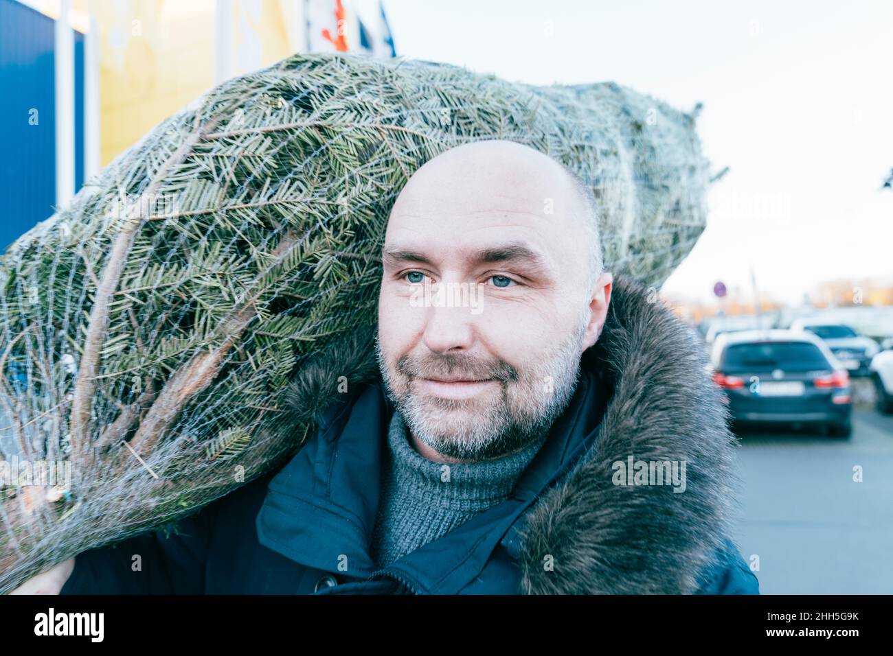 Smiling bald man carrying Christmas Tree Stock Photo - Alamy