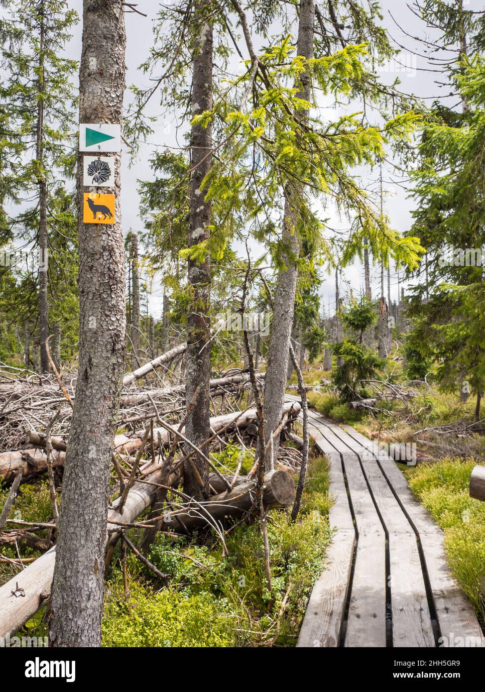 Hiking trail markings in front of boardwalk stretching past bunch of ...