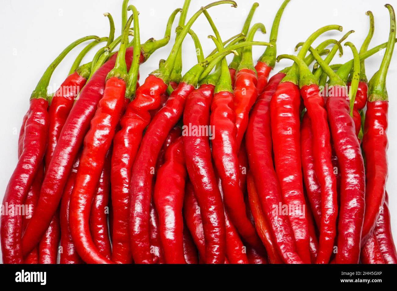 Red Chili Curly is one of the most widely grown and sold red chili ...