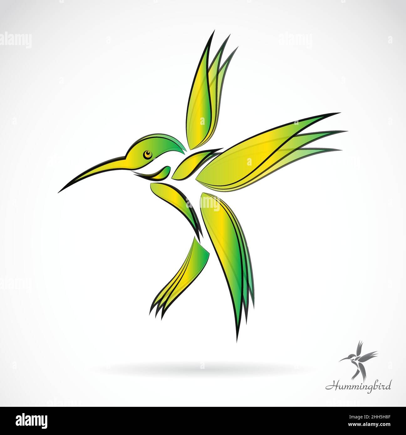 Vector of hummingbird on white background. Easy editable layered vector ...