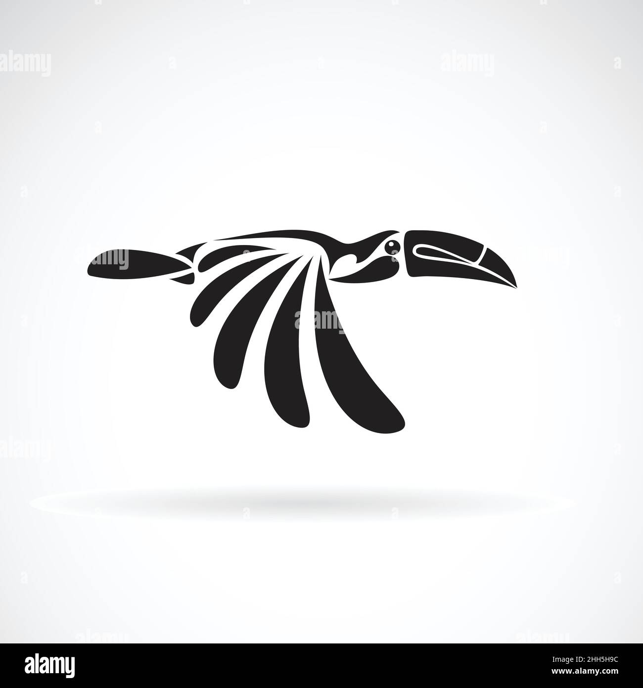 Vector of hornbill design on white background., Wild Animals. Birds ...