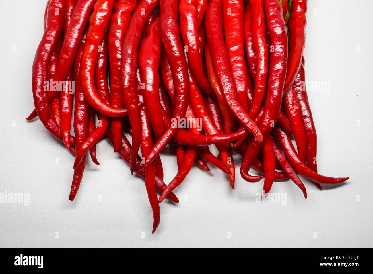 Red Chili Curly is one of the most widely grown and sold red chili ...