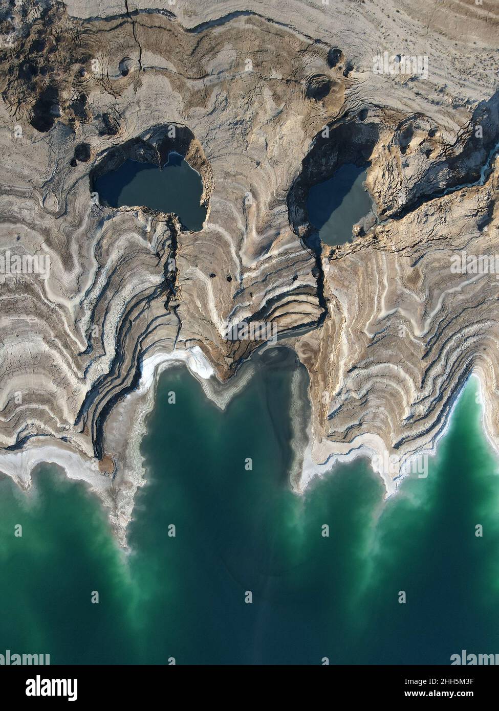 The dead sea monster Stock Photo - Alamy