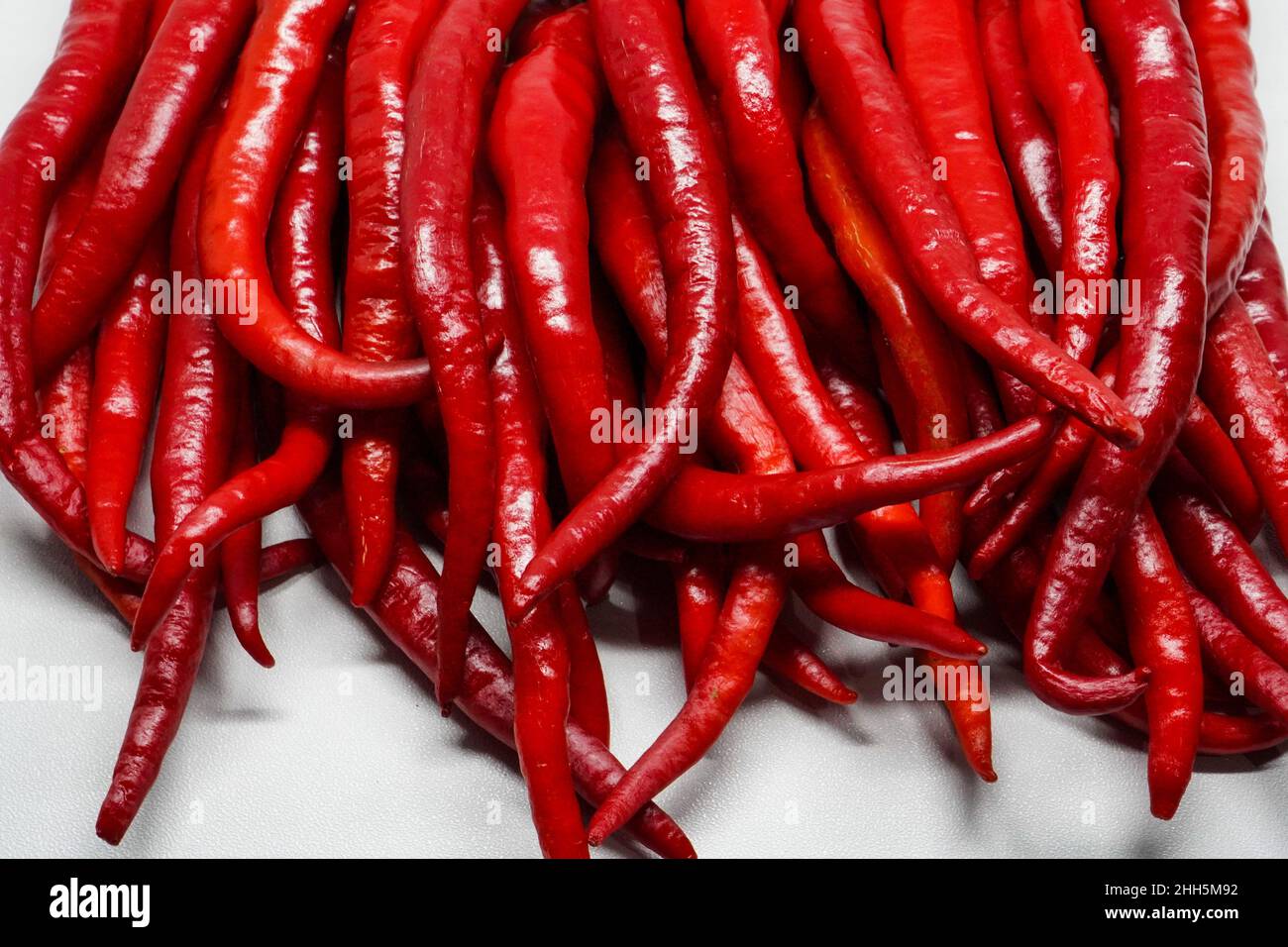 Red Chili Curly is one of the most widely grown and sold red chili ...